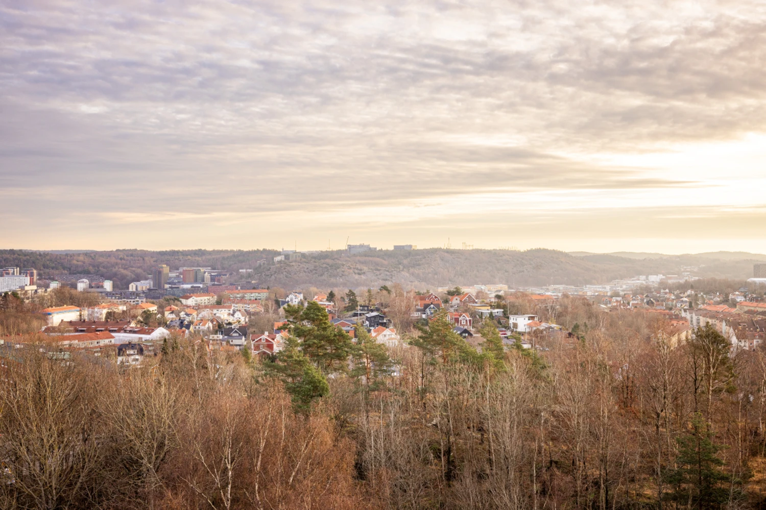 Doktor Forselius Gata 30 - Erik Olsson fastighetsförmedling