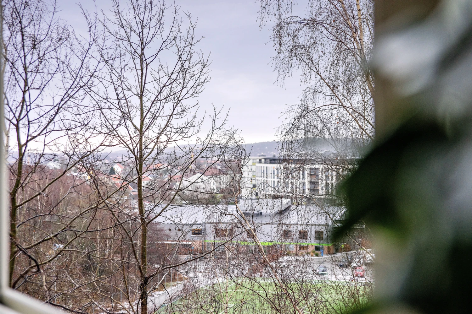 Doktor Forselius gata 18 - Erik Olsson fastighetsförmedling