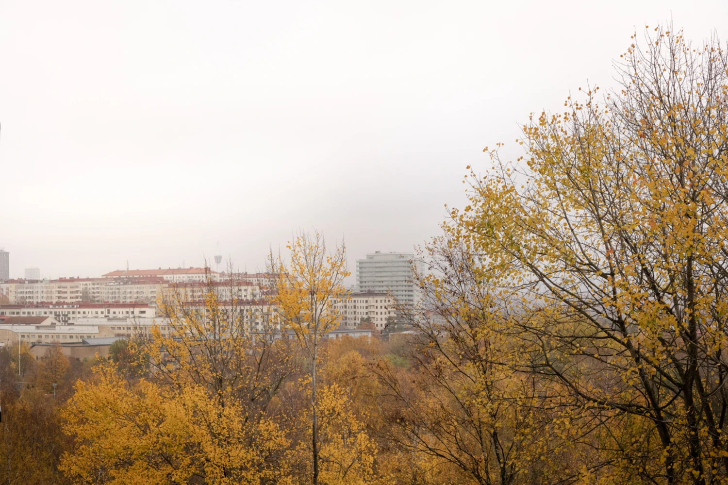 Doktor Forselius gata 4 - Erik Olsson fastighetsförmedling